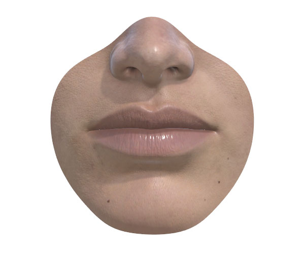 Pronunciation Coach 3D • Windows application